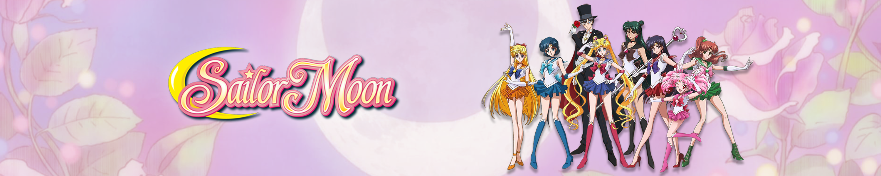 Amazon.com: Just Funky: Sailor Moon