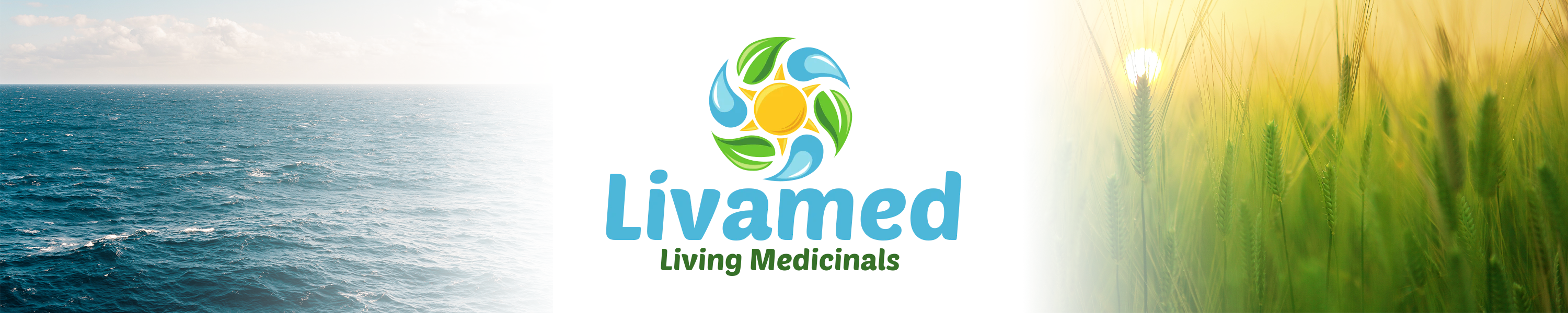 Amazon.com: Livamed