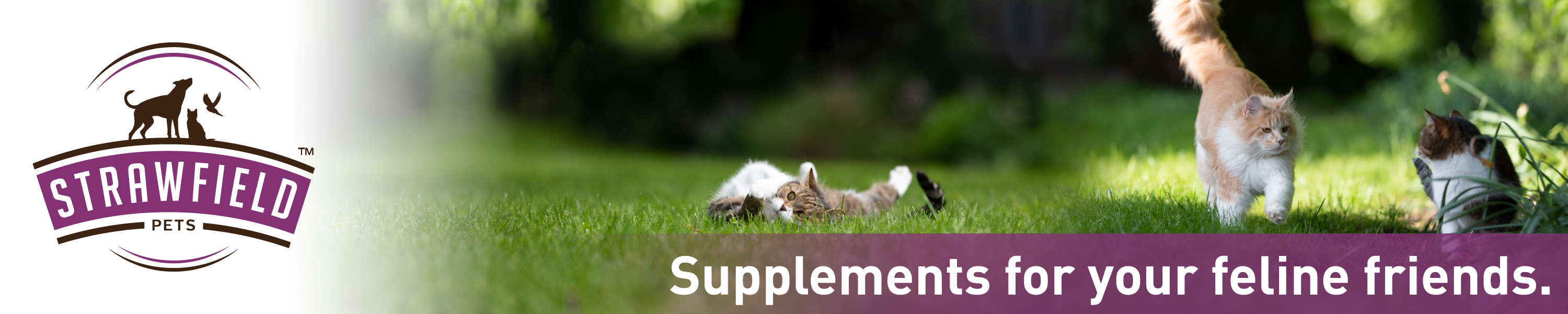 Amazon.ca: Strawfield Pets: Cat Supplements