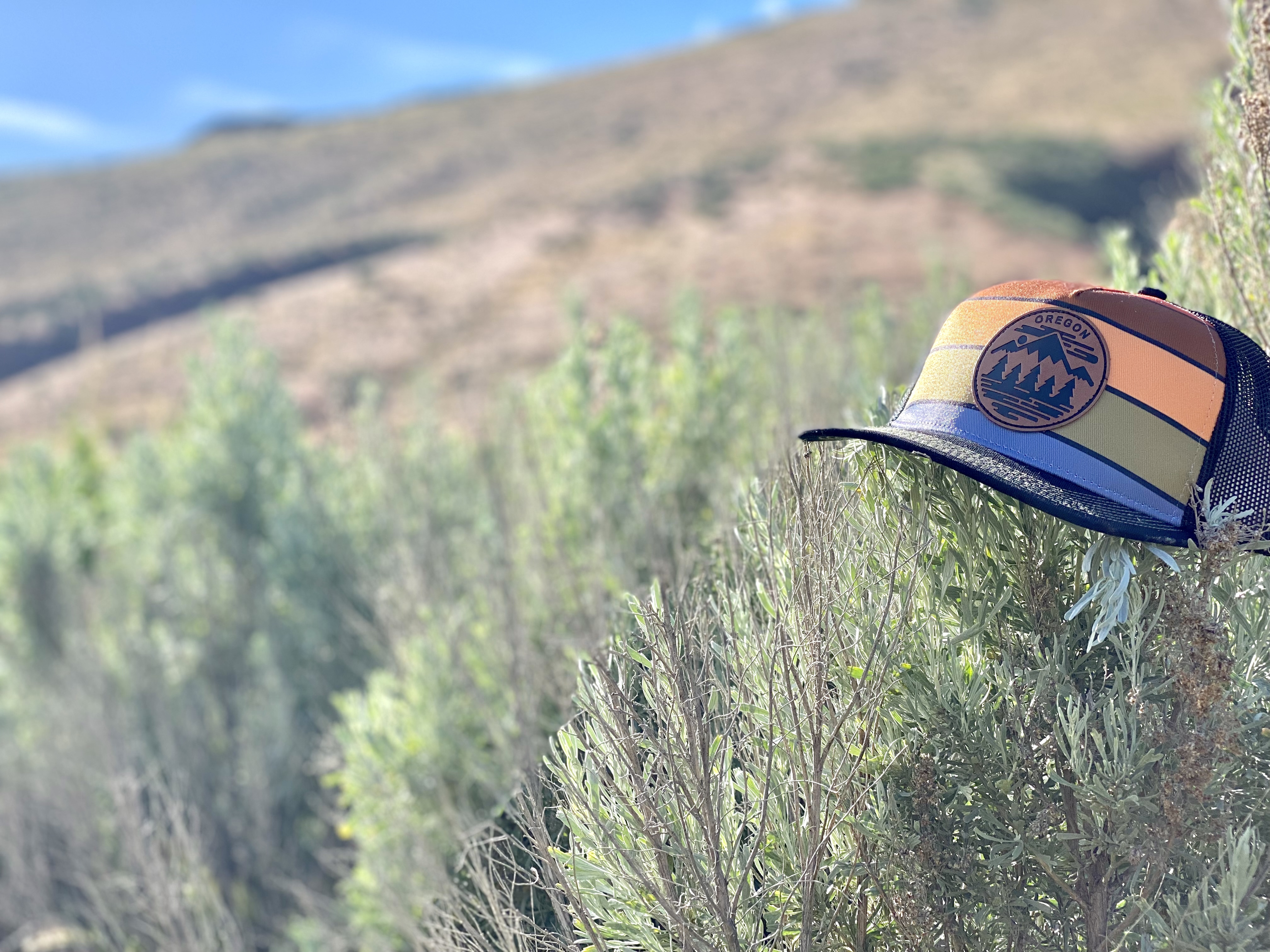 Amazon.com: Little Bay Root: Snapback hats