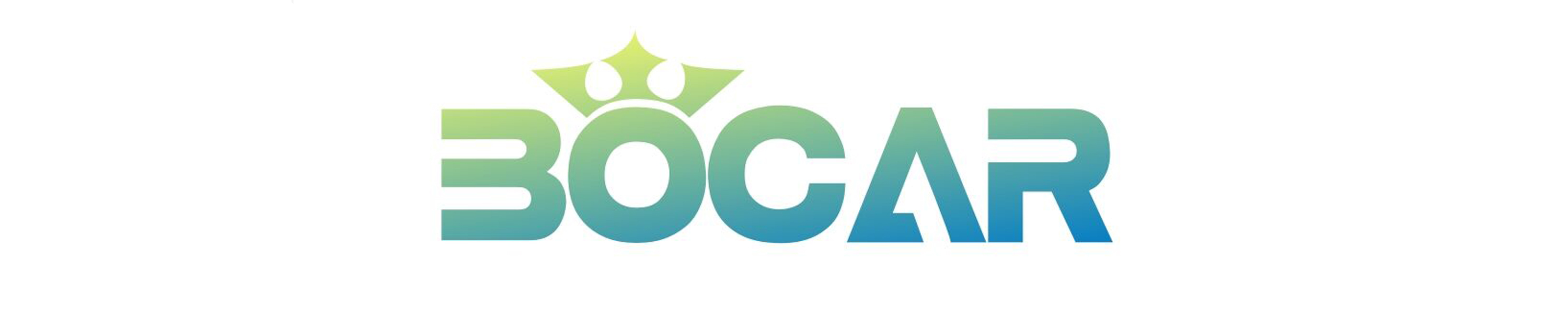 Amazon.com: BOCAR: Purple