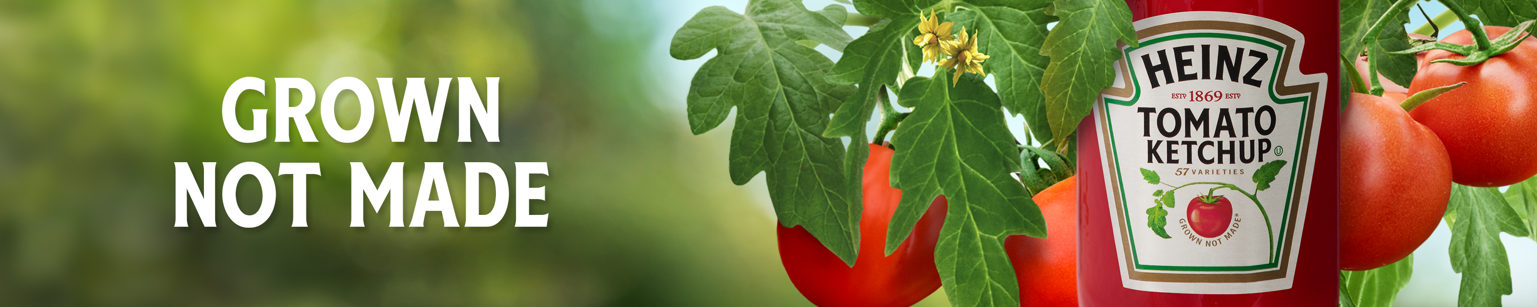Amazon.com: HEINZ: Grown Not Made