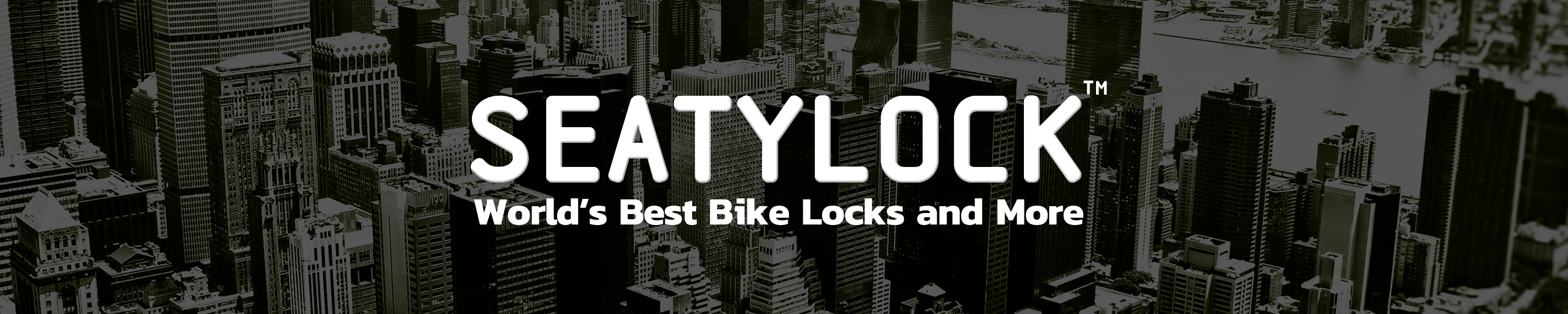 Amazon.com: SEATYLOCK: FOLDING LOCKS