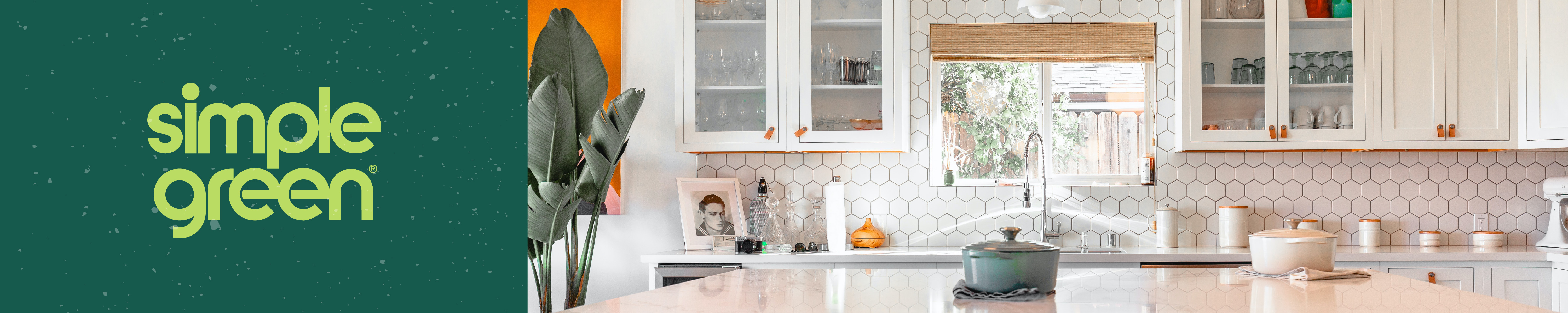 Amazon.com: Simple Green: Lemon