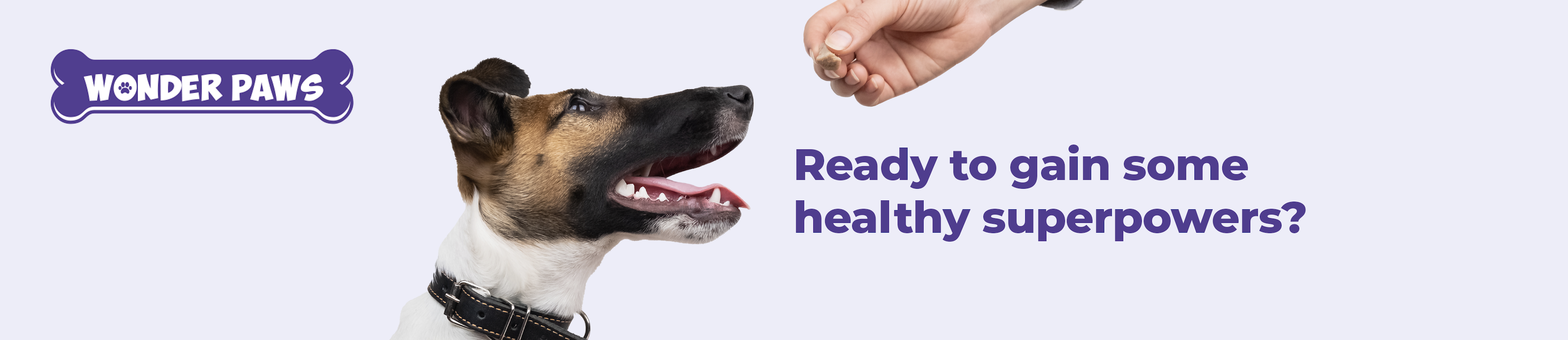 Amazon.com: Wonder Paws