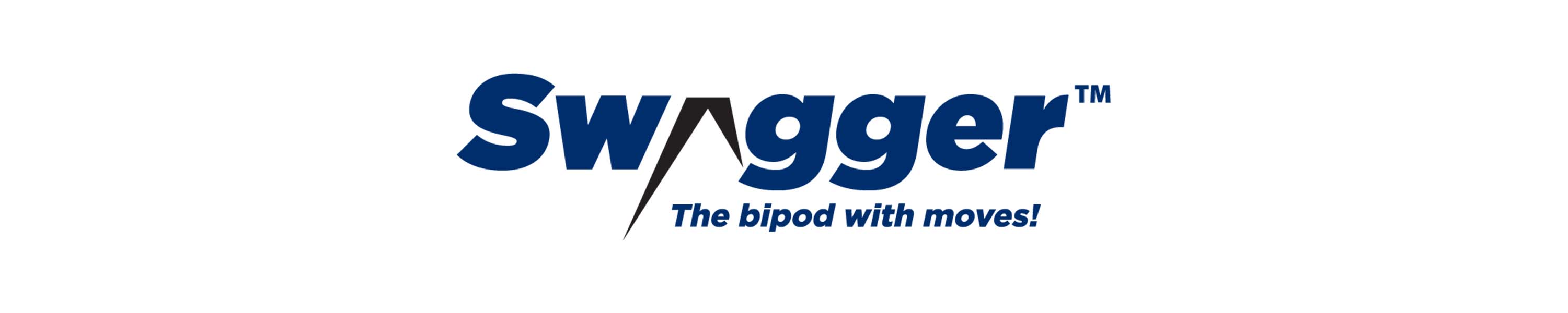 Amazon.com: Swagger: Shooting Sticks