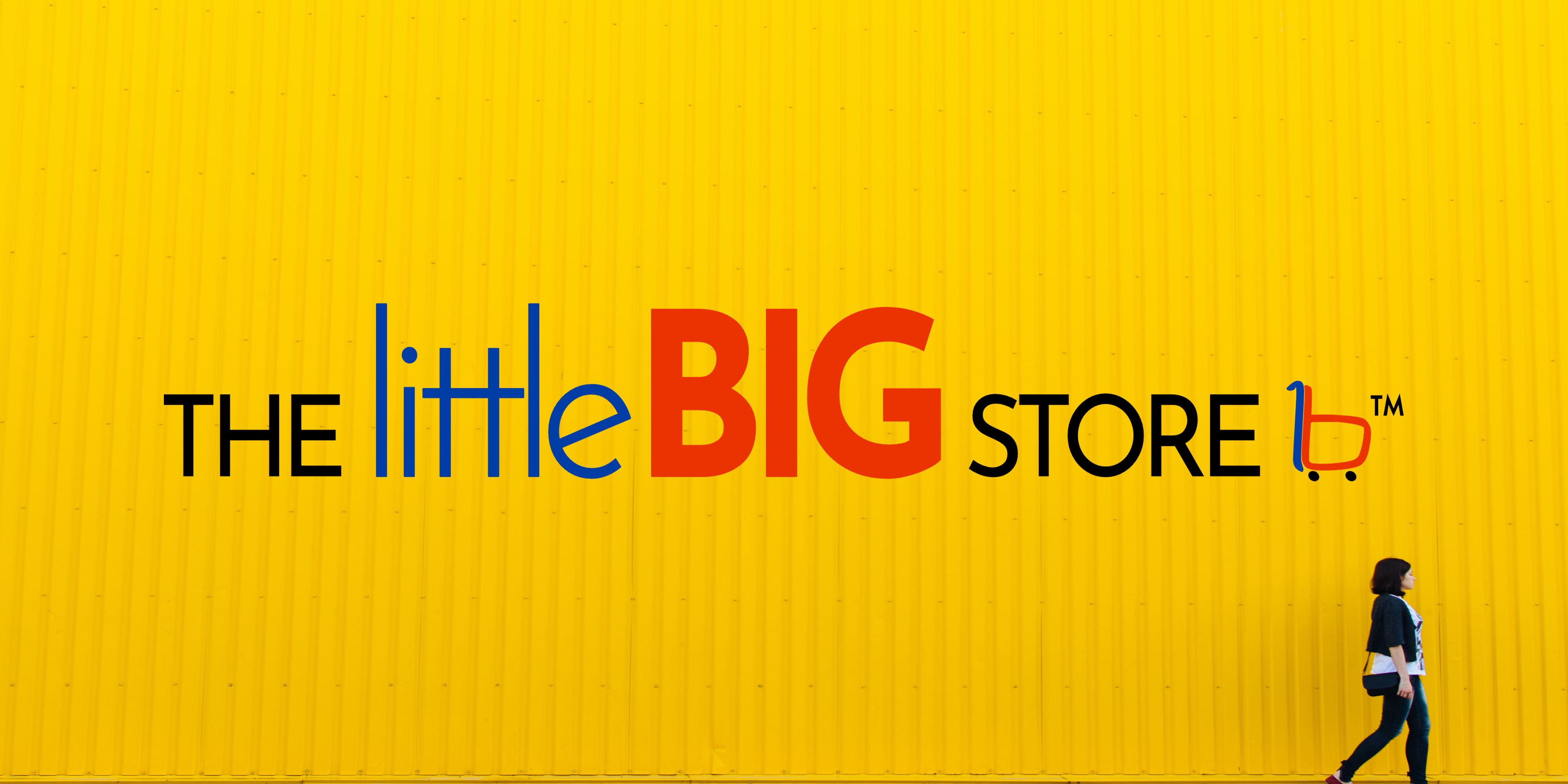 Amazon.com: The Little Big Store