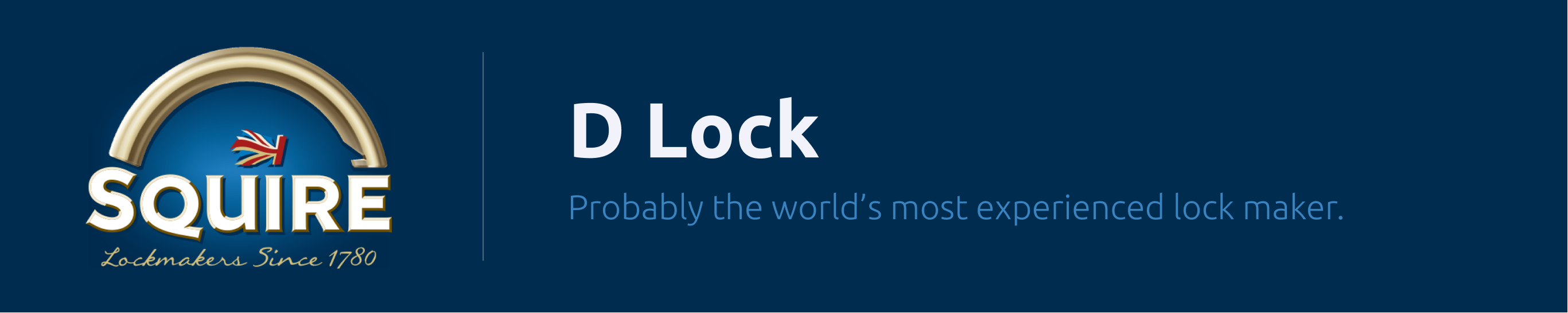 Amazon.com: Squire: D Lock