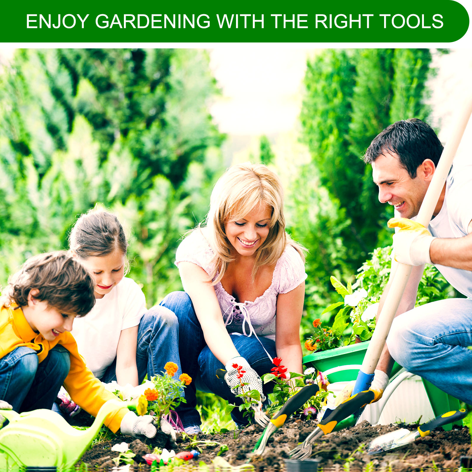 Amazon.com: Gostur: Single products