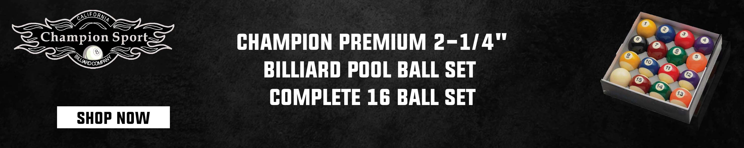 Amazon.com: Champion cue and gator cue: Pool ball and Ball Case