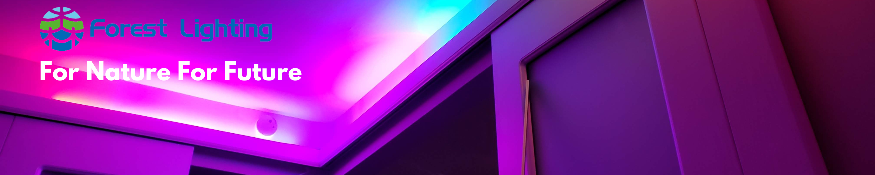 Amazon.com: Forest Lighting