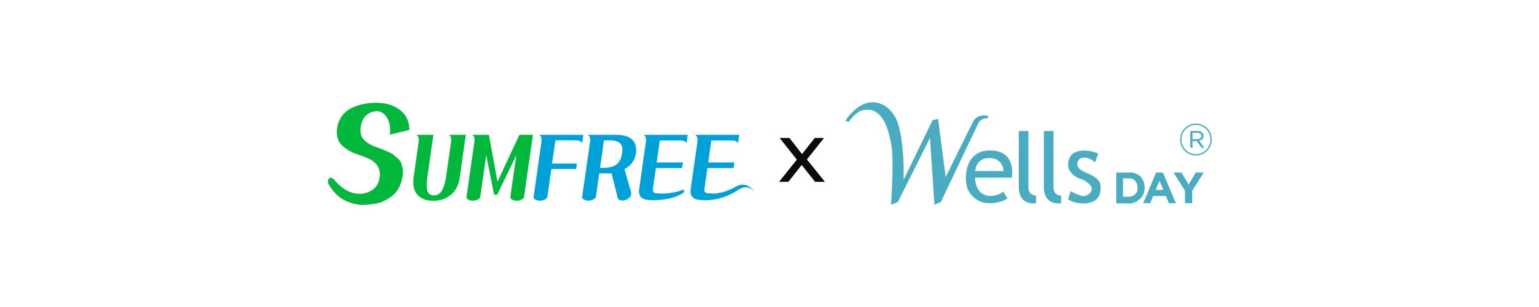 Amazon.com: SUMFREE Korean 94 Filter Mask: SUMFREE X WELLSADAY (KD-AD)