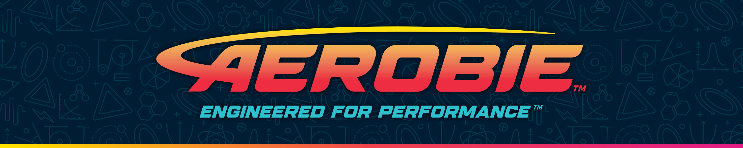 Amazon.com: Aerobie: Pro Lite