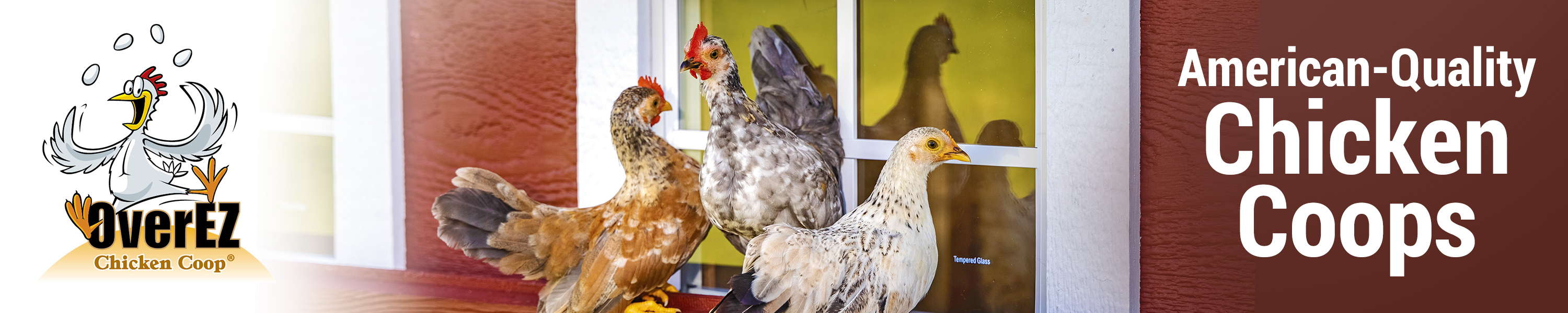 Amazon.com: OverEZ Chicken Coop: ﻿﻿Chicken Coops