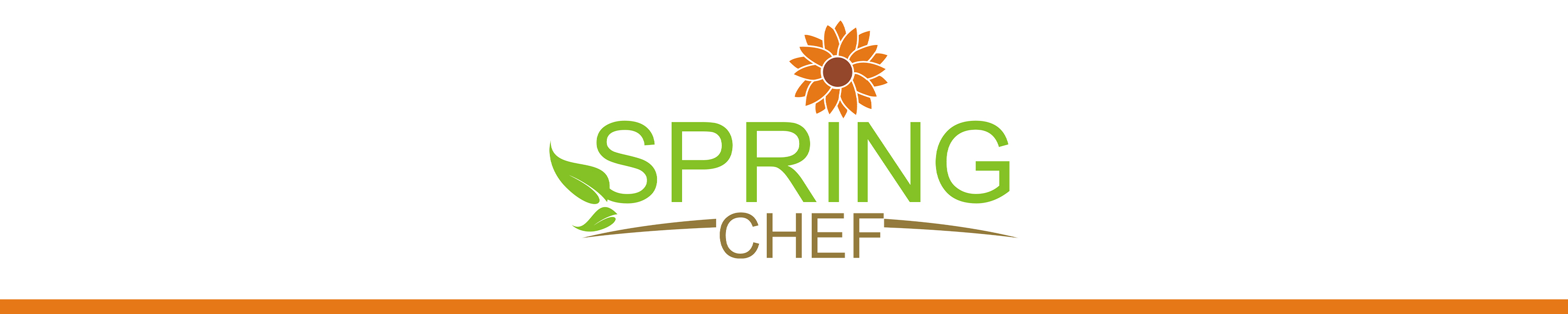 Amazon.com: Spring Chef