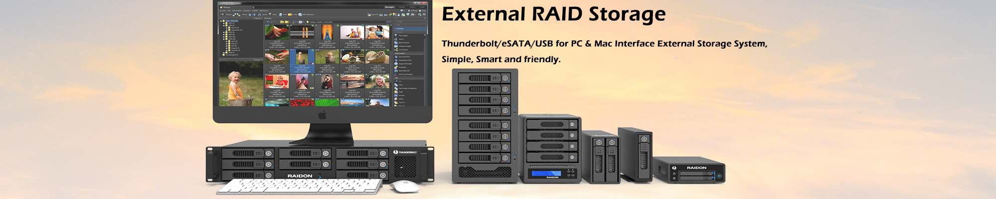 Amazon.com: RAIDON: External Storage