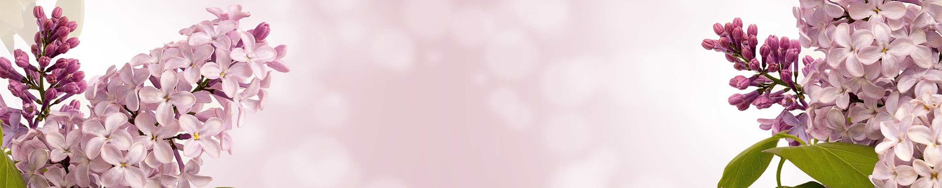 Amazon.com: WELCOME TO KUKENSAMMY: leg wraps rave