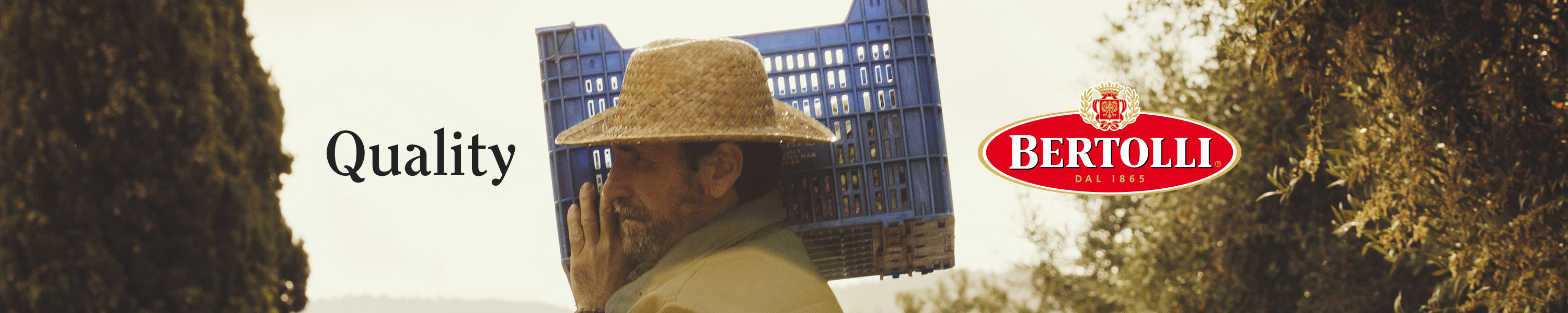 Amazon.com: Bertolli: Quality