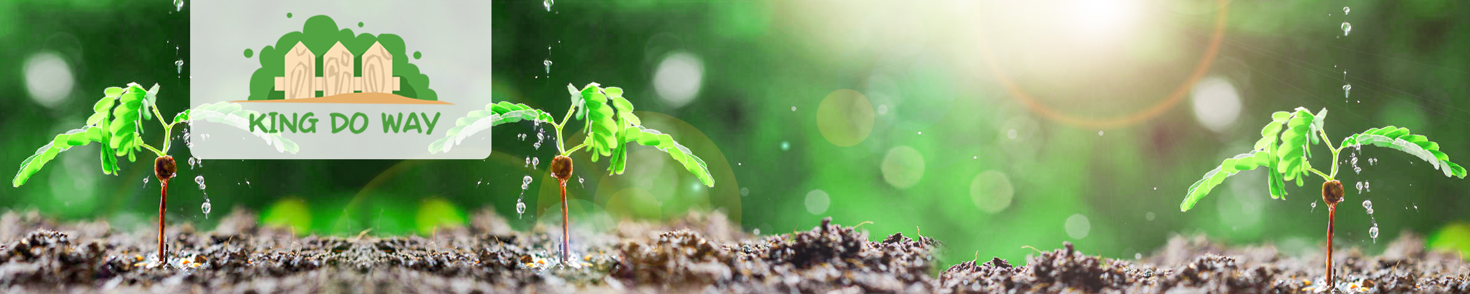 Amazon.com: KING DO WAY: DRIP IRRIGATION KIT