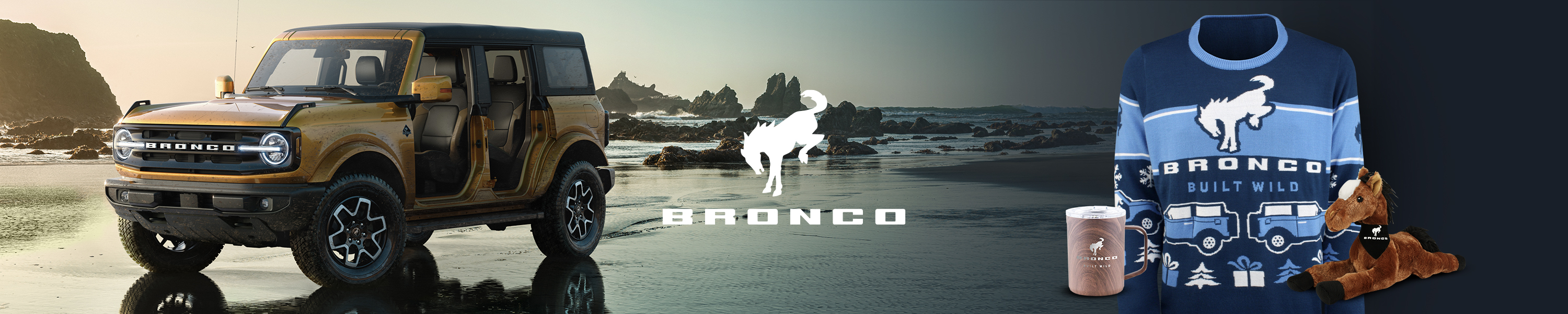 Amazon.com: Helm Inc: Bronco