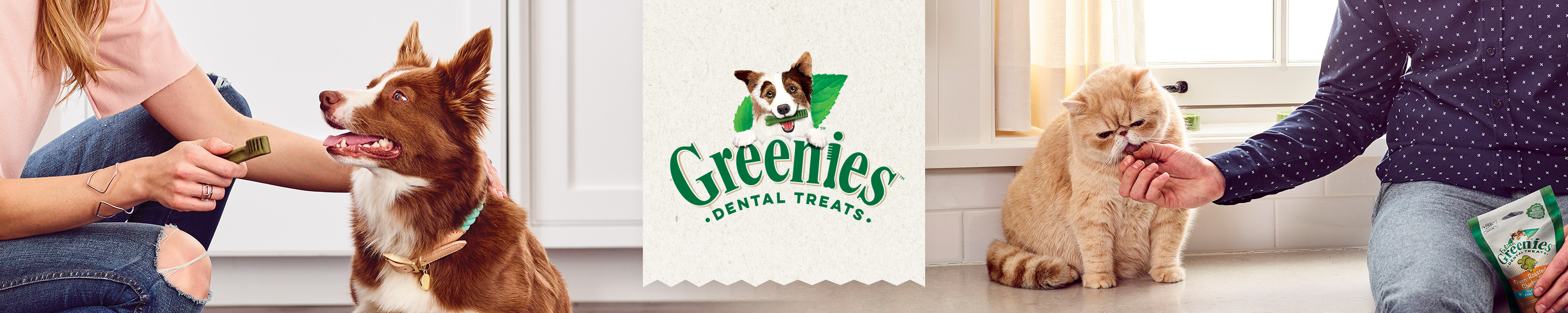 Amazon.com: GREENIES