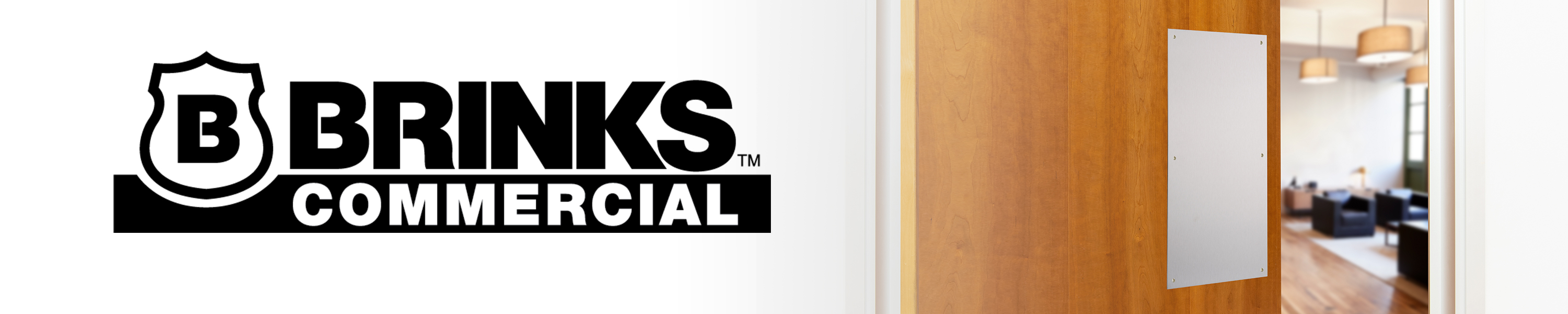 Amazon.com: Brinks: Accessories