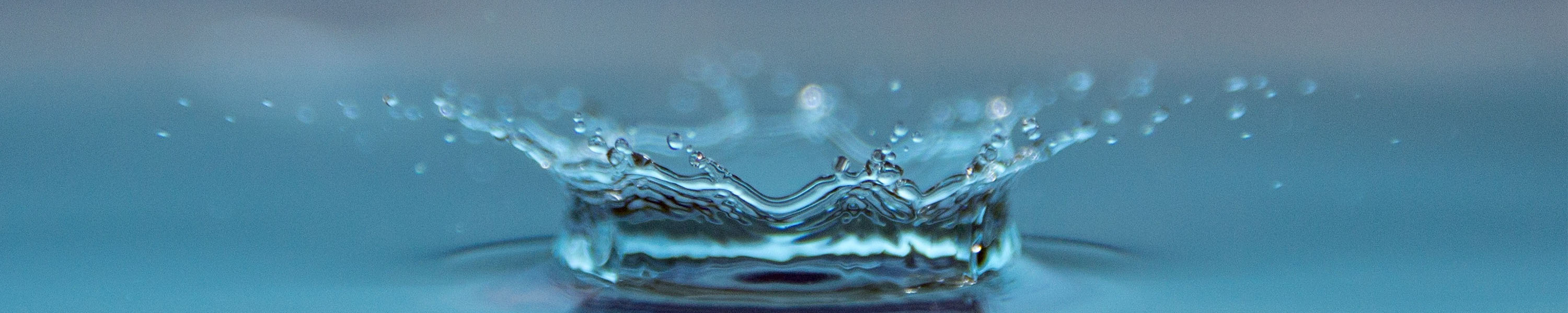 Amazon.com: PmoYoKo Water Quality Experts