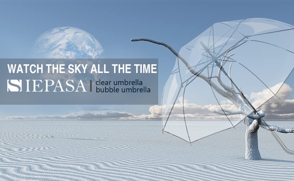 Amazon.com: Siepasa: Clear Bubble UMBRELLA