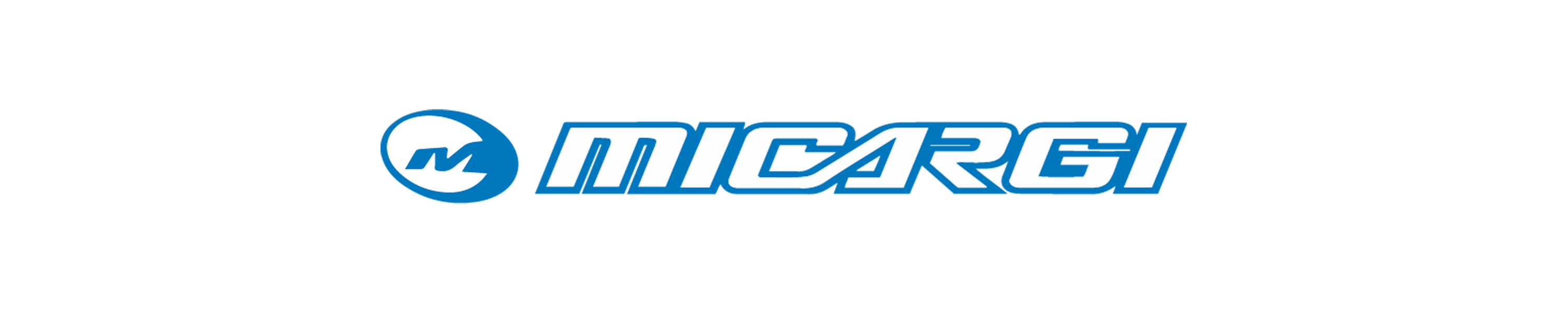 Amazon.com: MICARGI