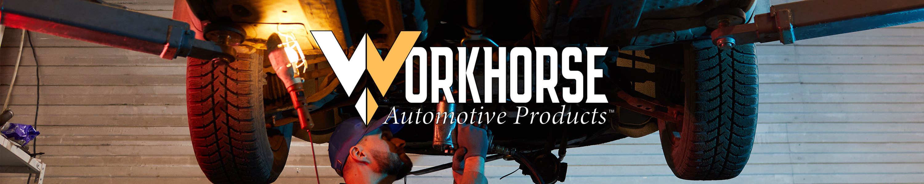 Amazon.com: Workhorse Automotive Products: Valve Cores, Valve Caps, and ...