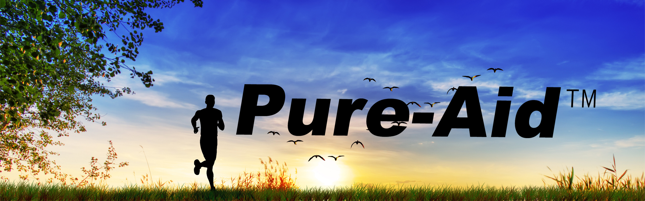Amazon.com: Pure-Aid: Pure-Aid Wipes