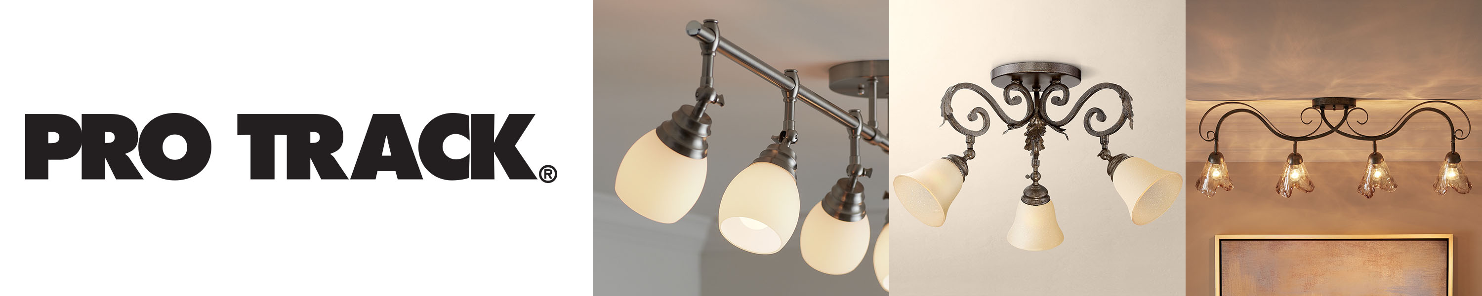 Amazon.com: Pro Track: Track Lights