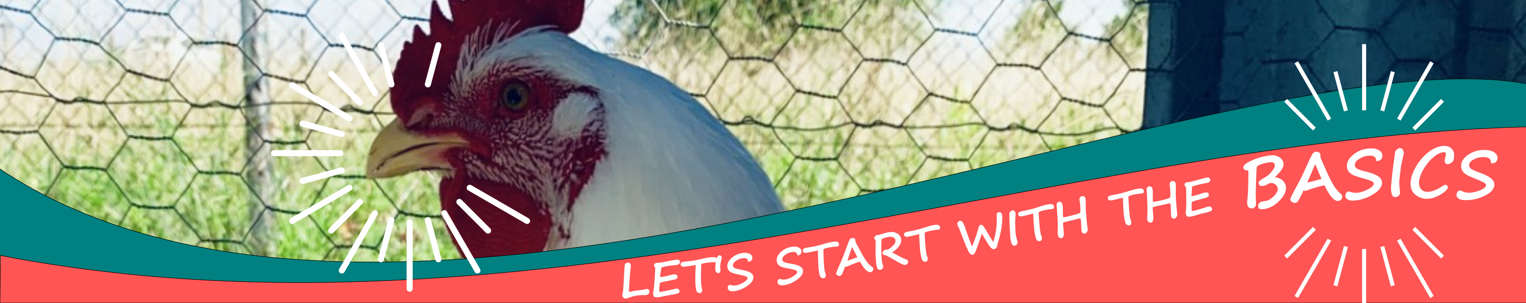 Amazon.com: Farm Basics