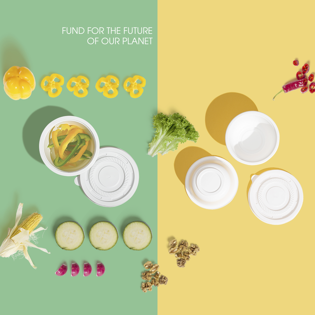 Amazon.com: OGT Co: Catalog