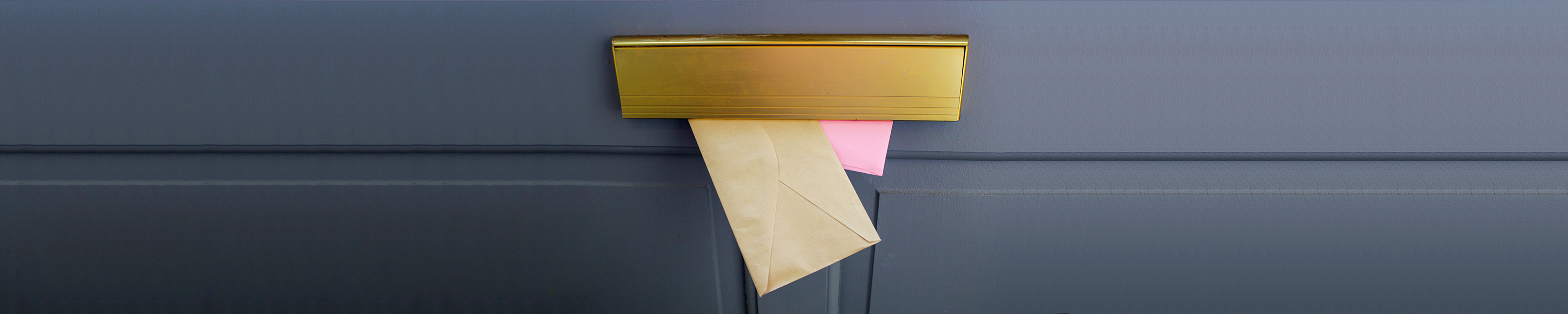 Amazon.com: Annmore: MAIL SLOT CATCHER