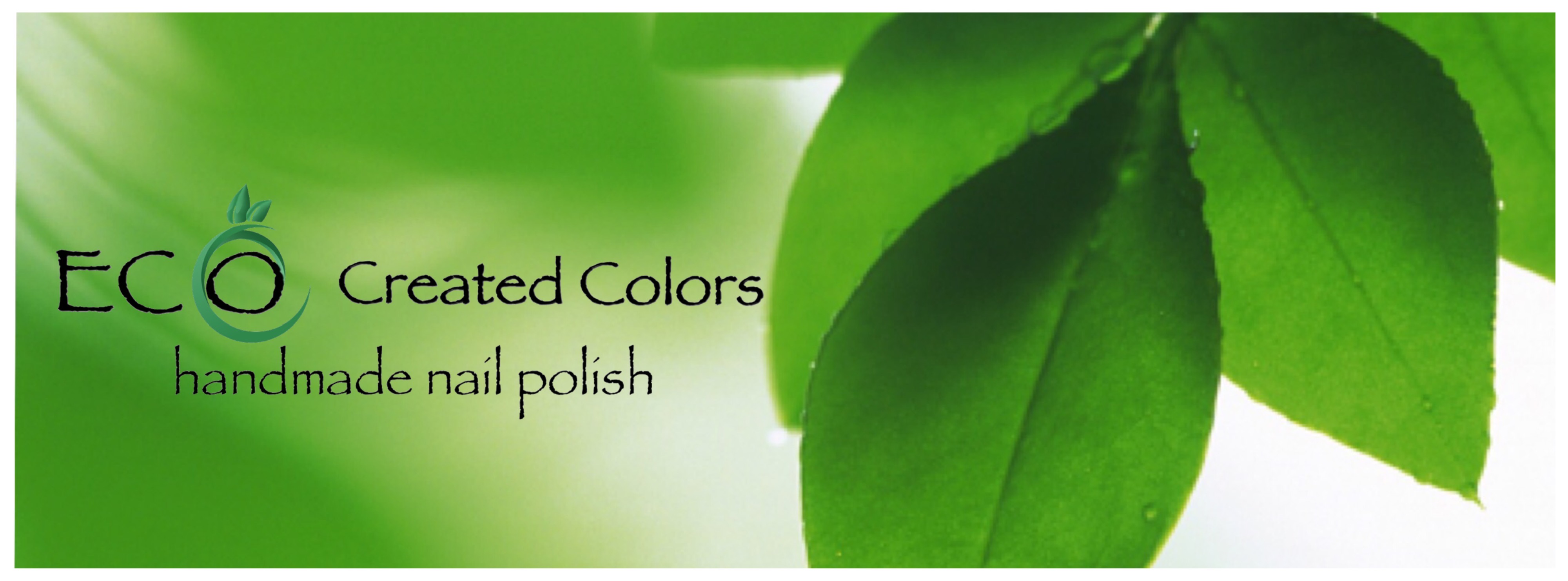 Amazon.com: Eco Created Colors