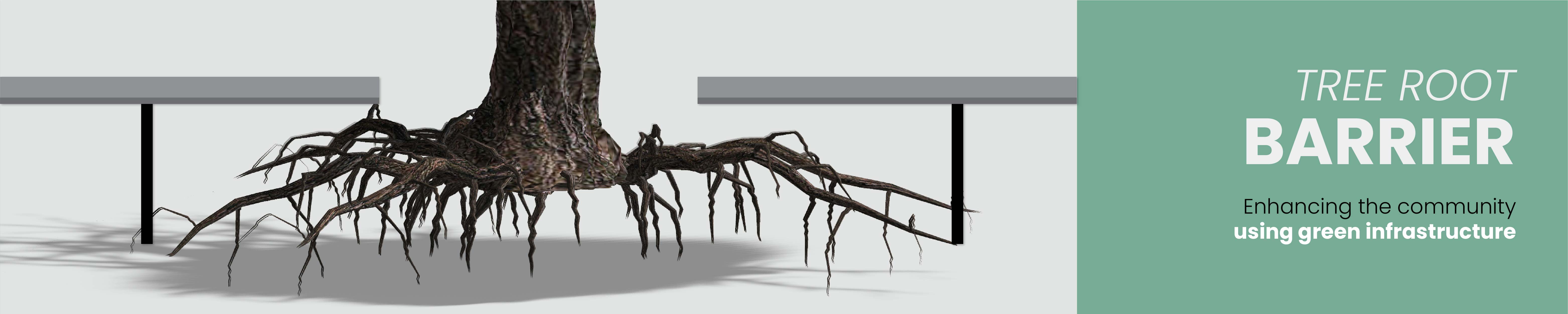 Amazon.com: Deeproot: Tree Root Barriers