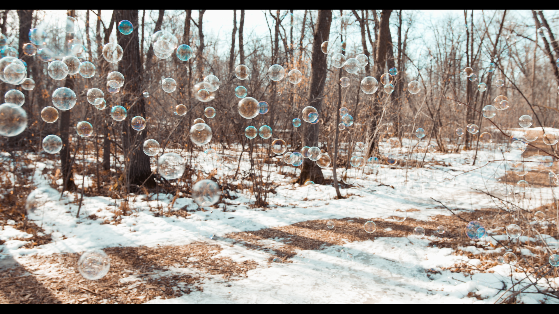 Amazon.ca: CRAZY ICE BUBBLES: Buy Now