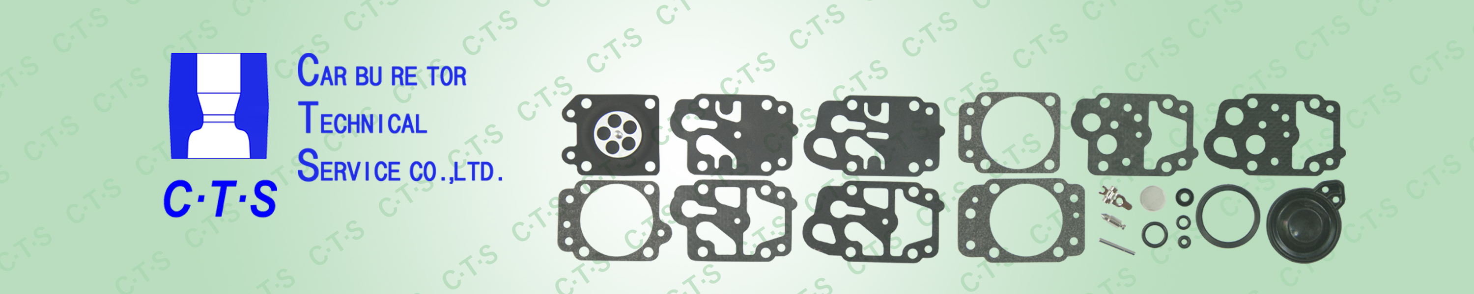 Amazon.ca: C•T•S: REPAIR/REBUILD KIT