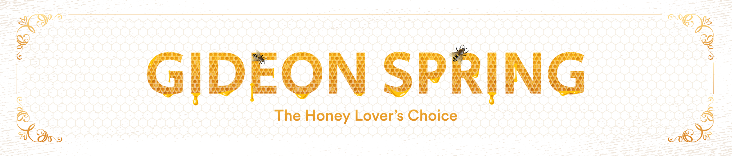 Amazon.com: GIDEON SPRING