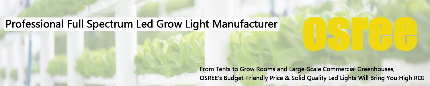 Amazon.com: OSREE: Plant Stand