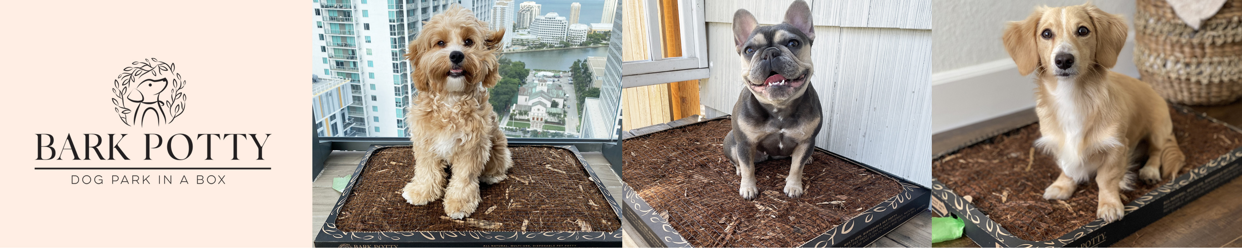 Amazon.com: Bark Potty: Adult