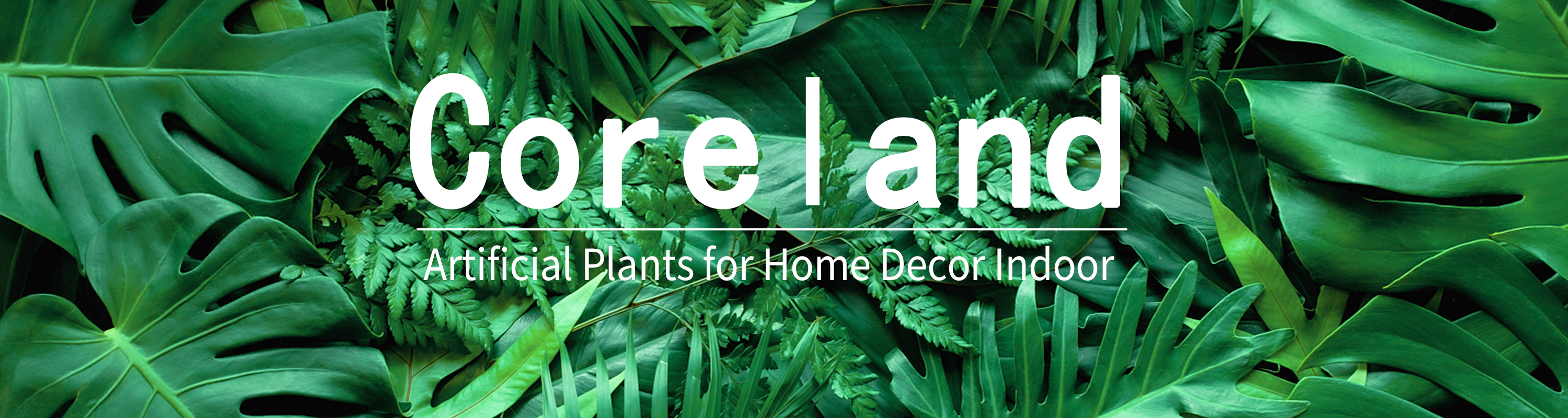 Amazon.com: Decorate Your Life
