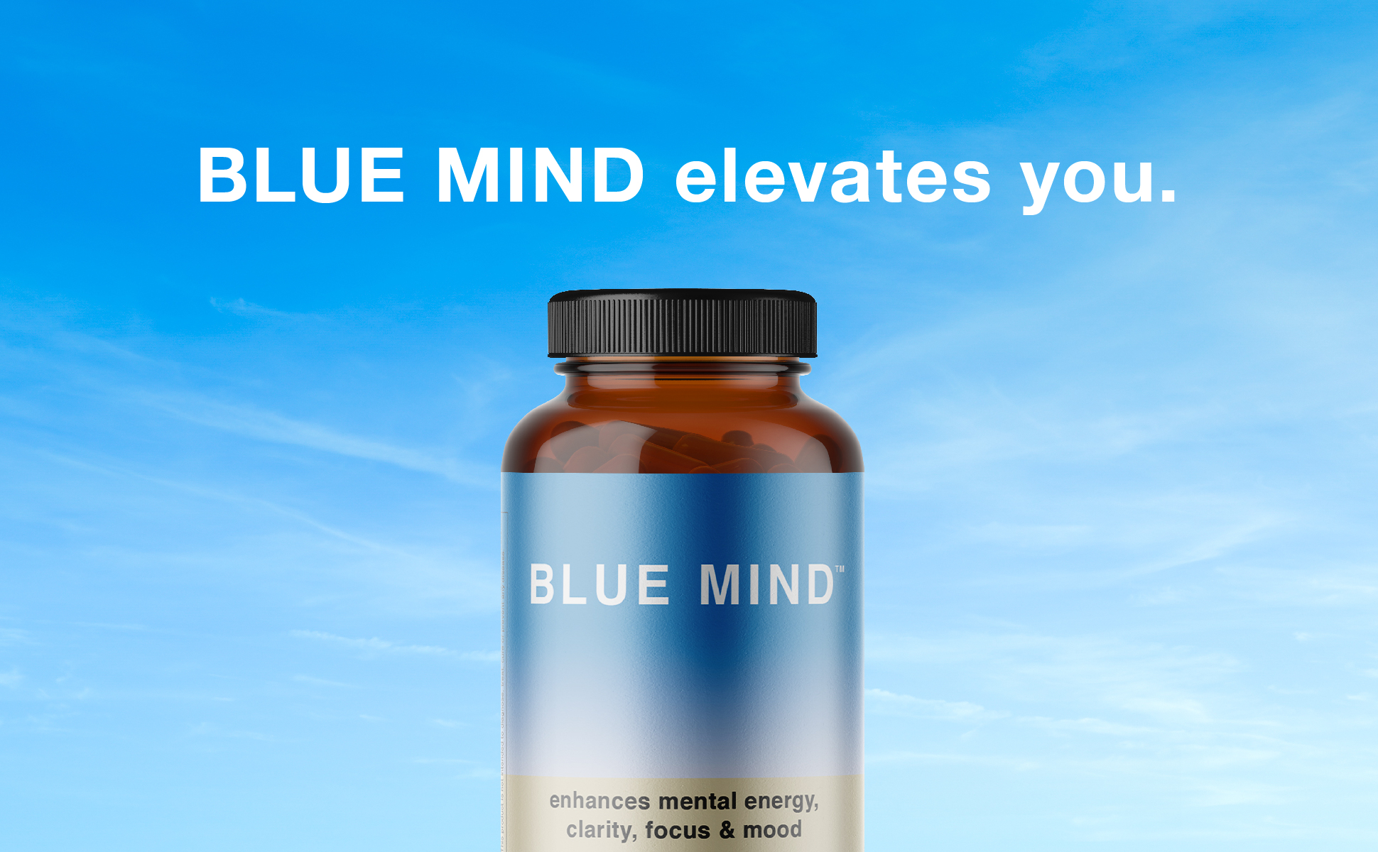 Amazon.com: Blue Mind