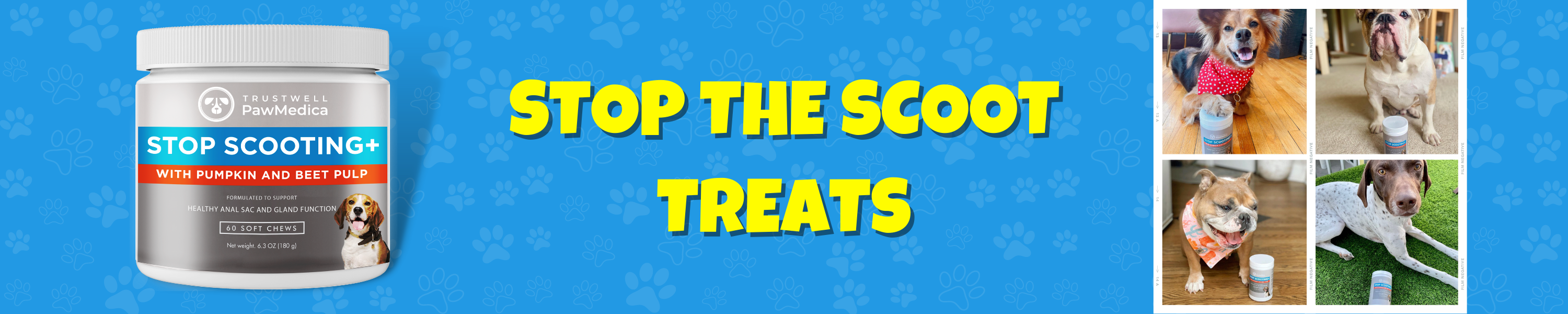 Amazon.com: Trustwell PawMedica: Stop the Scoot