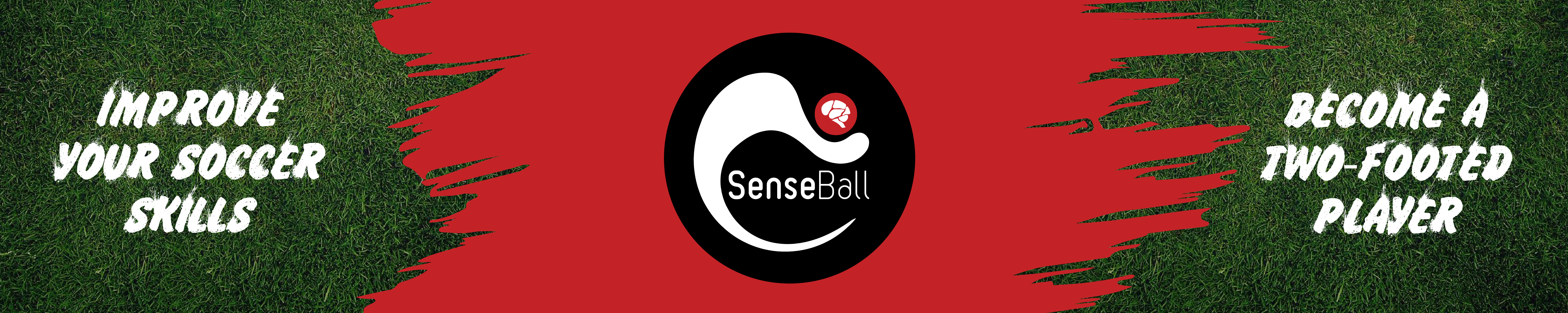 Amazon.com: SenseBall