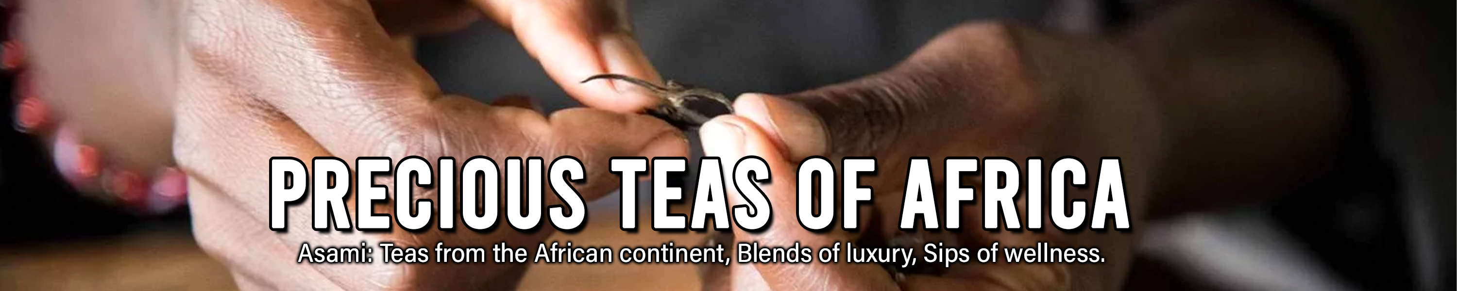 Amazon.com: ASAMI NATURALS: TEA Collection