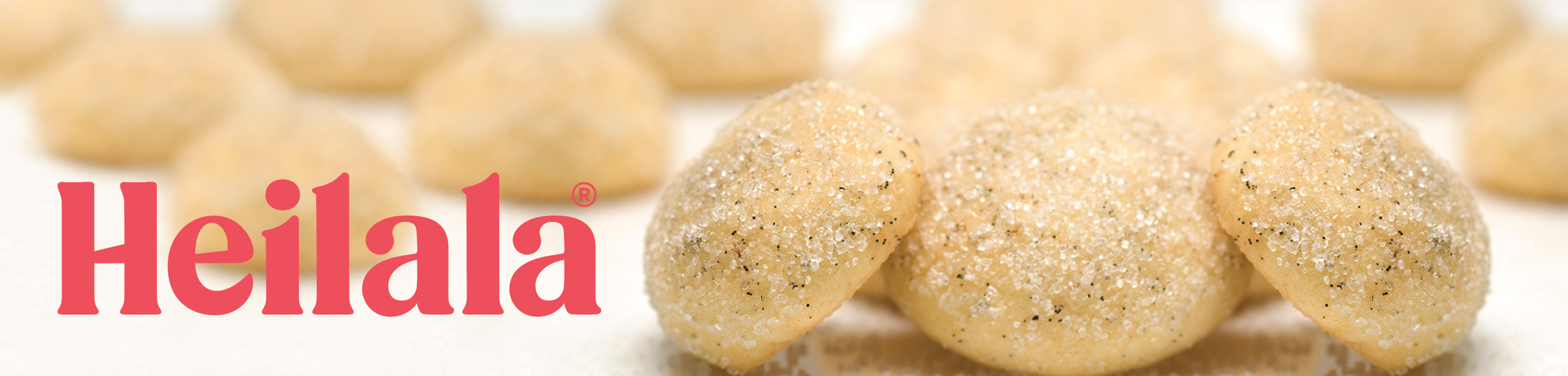 Amazon.com: Heilala: Vanilla Syrup