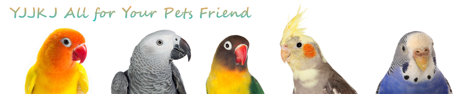 Amazon.com: YJJKJ: Bird Bath