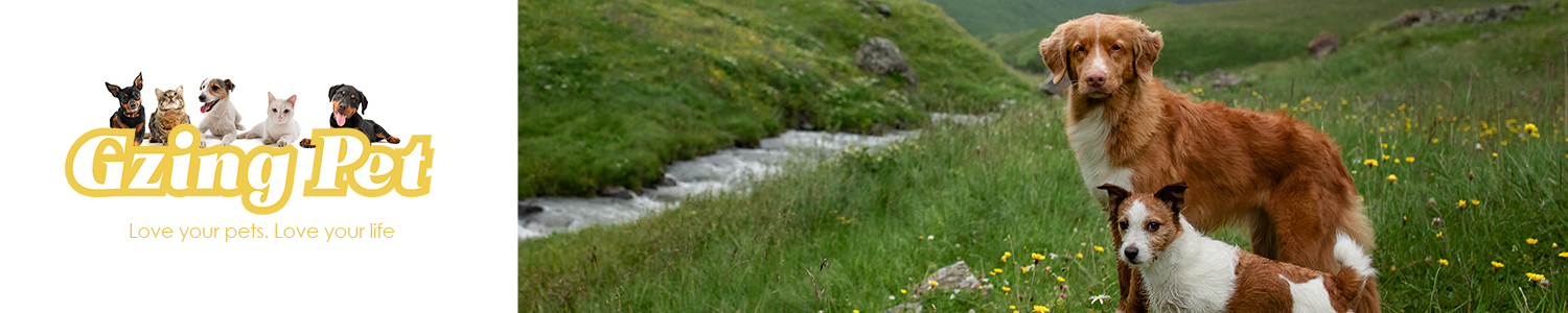 Amazon.com: Gzing Pet Offical: Airtag Dog Collar